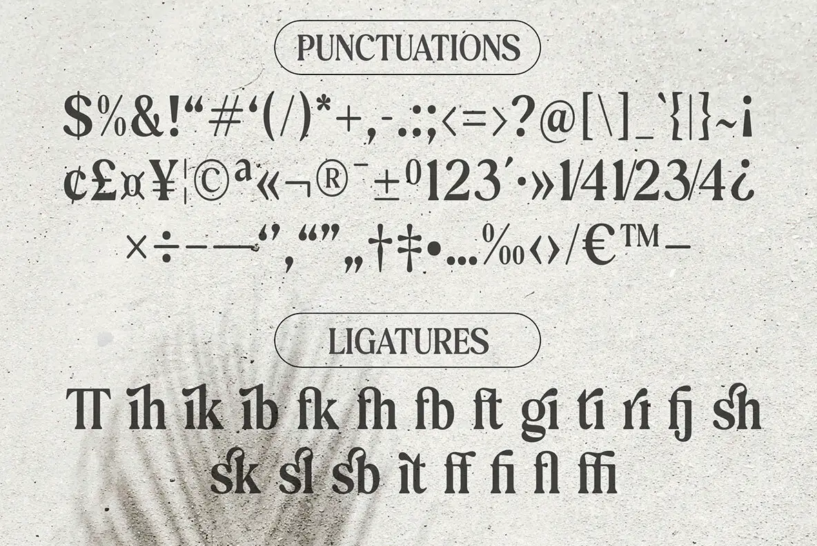 Exclusive Editorial Font - YouWorkForThem