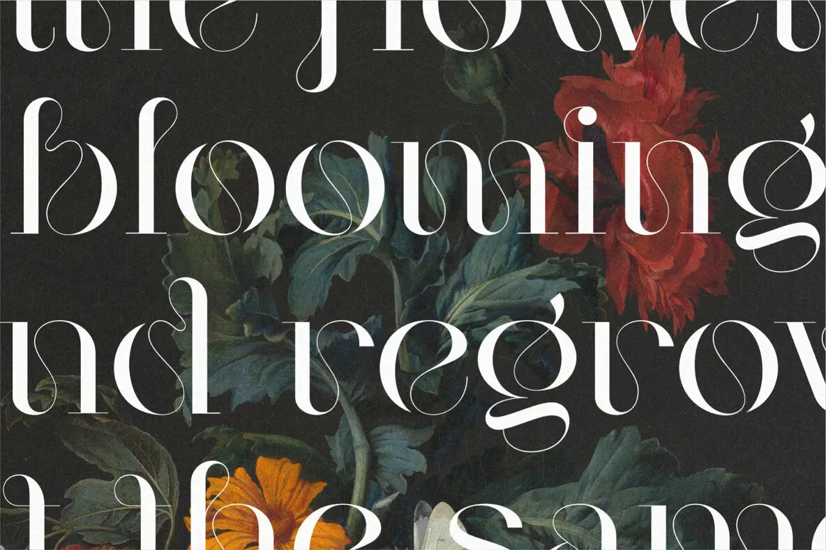 Mogen Font - YouWorkForThem