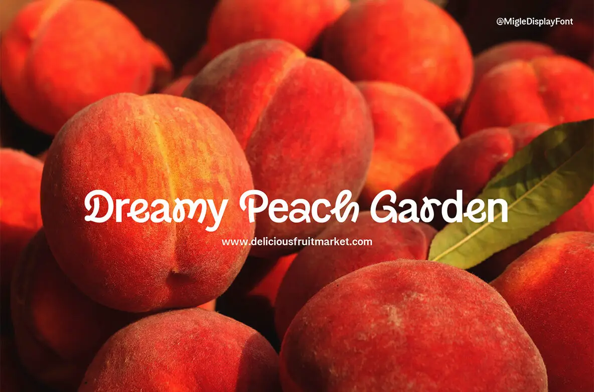 Migle Display Font - YouWorkForThem