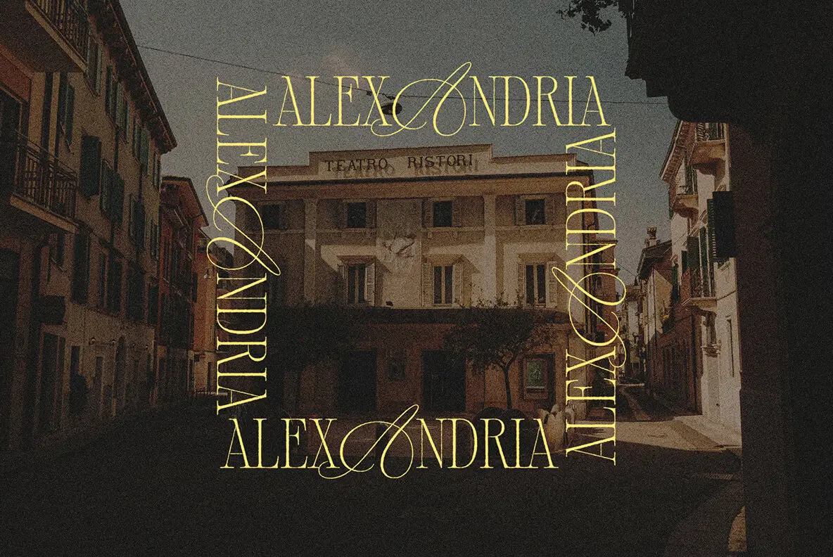 Alizee Font - YouWorkForThem