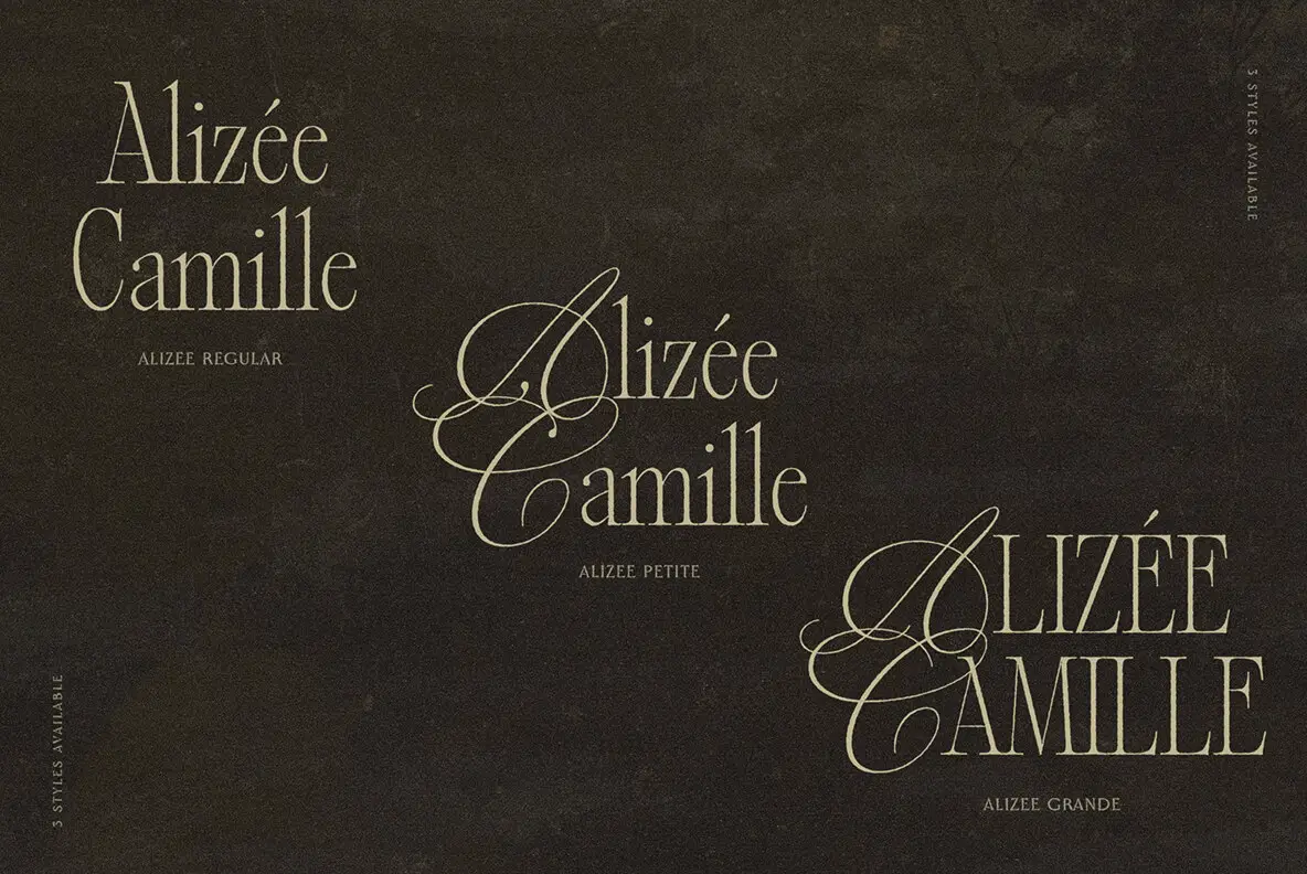 Alizee Font - YouWorkForThem