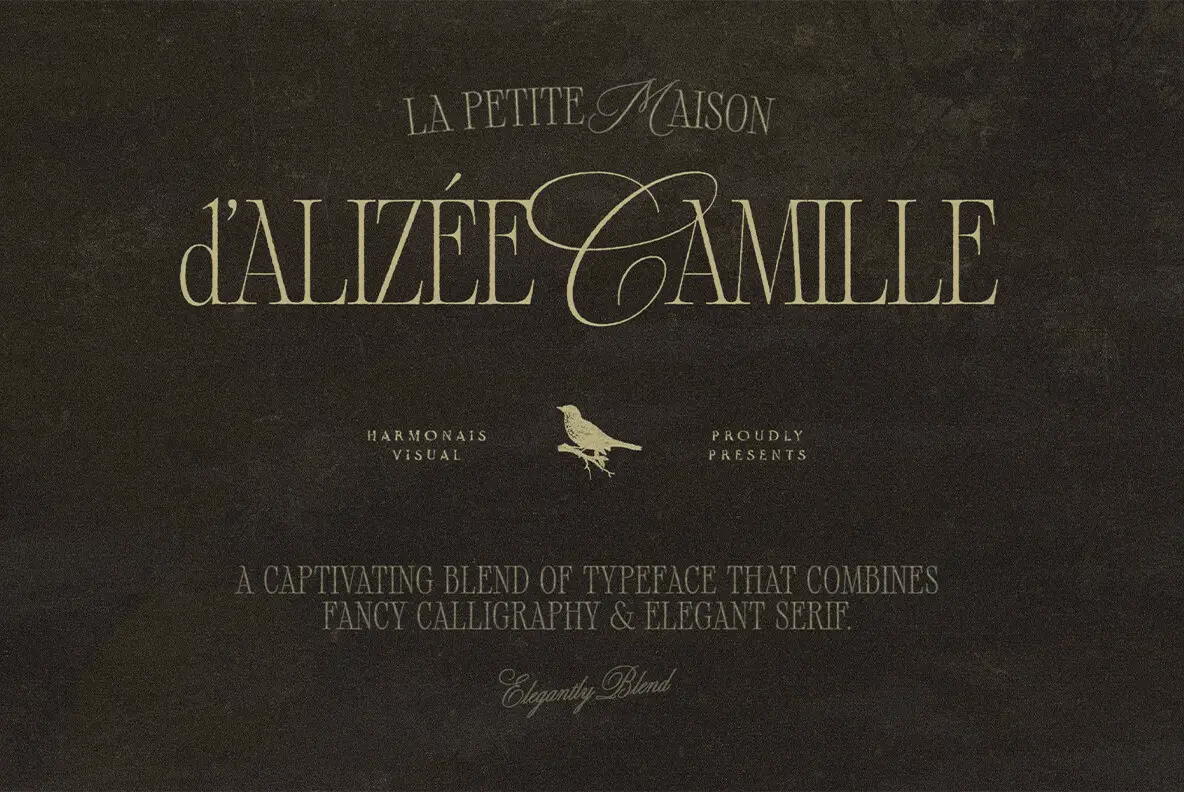 Alizee Font - YouWorkForThem