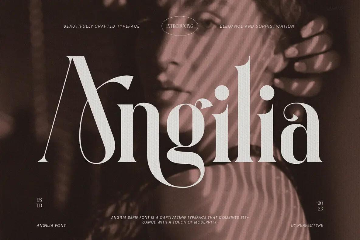 Angilia Font - YouWorkForThem