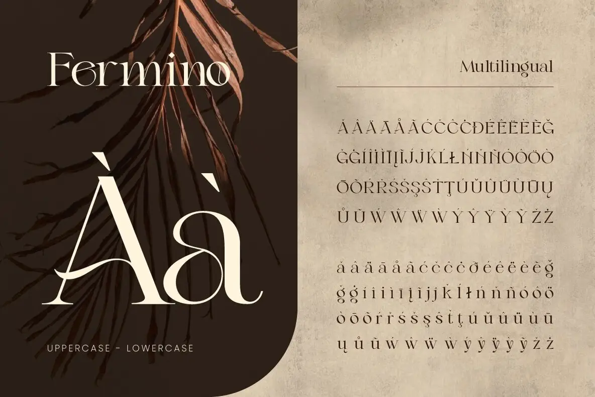 Fermino Font - YouWorkForThem