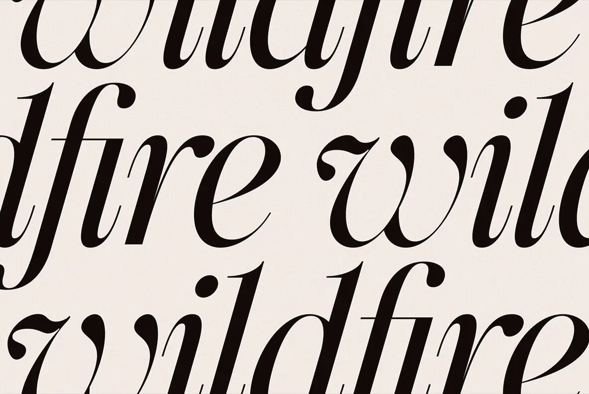 The Portray Font - FontPath