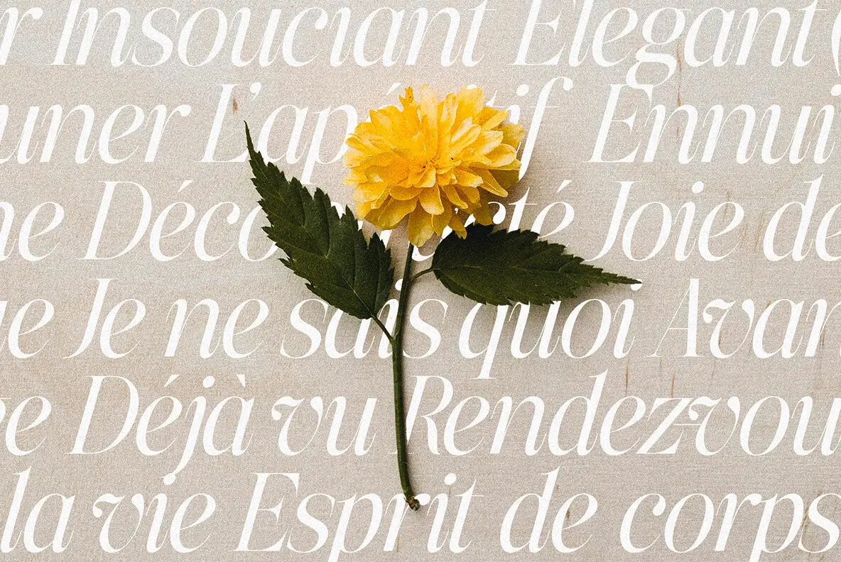 The Portray Font - YouWorkForThem