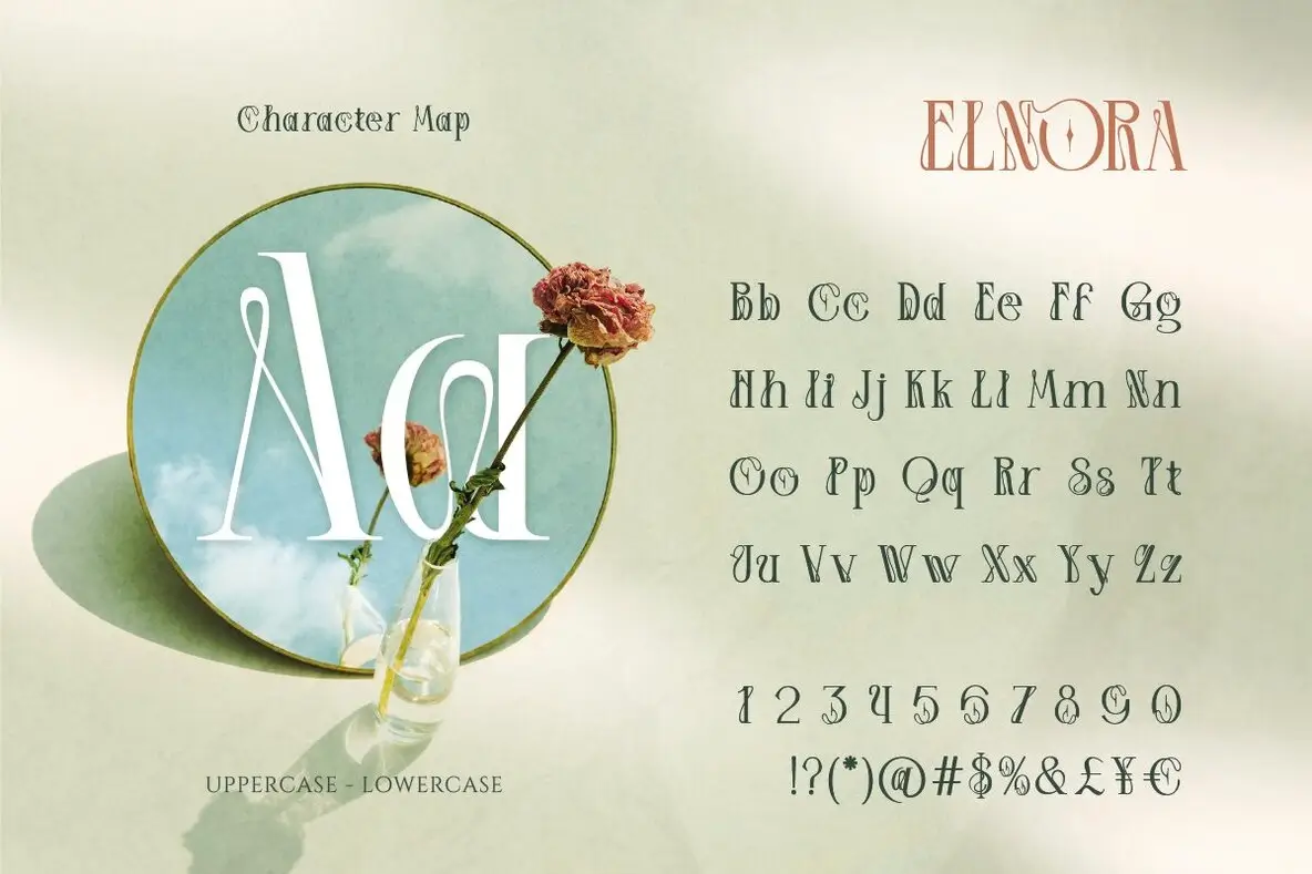 Elnora Font - YouWorkForThem