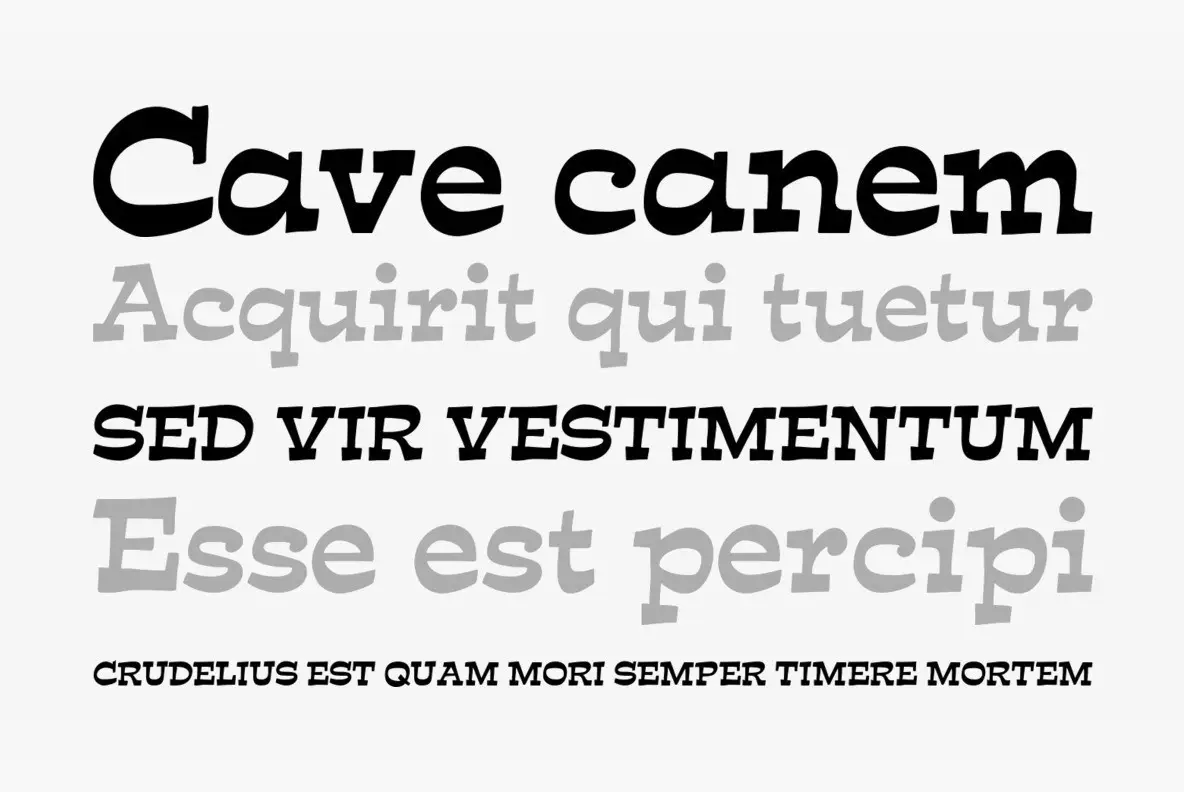 Estro Font - YouWorkForThem