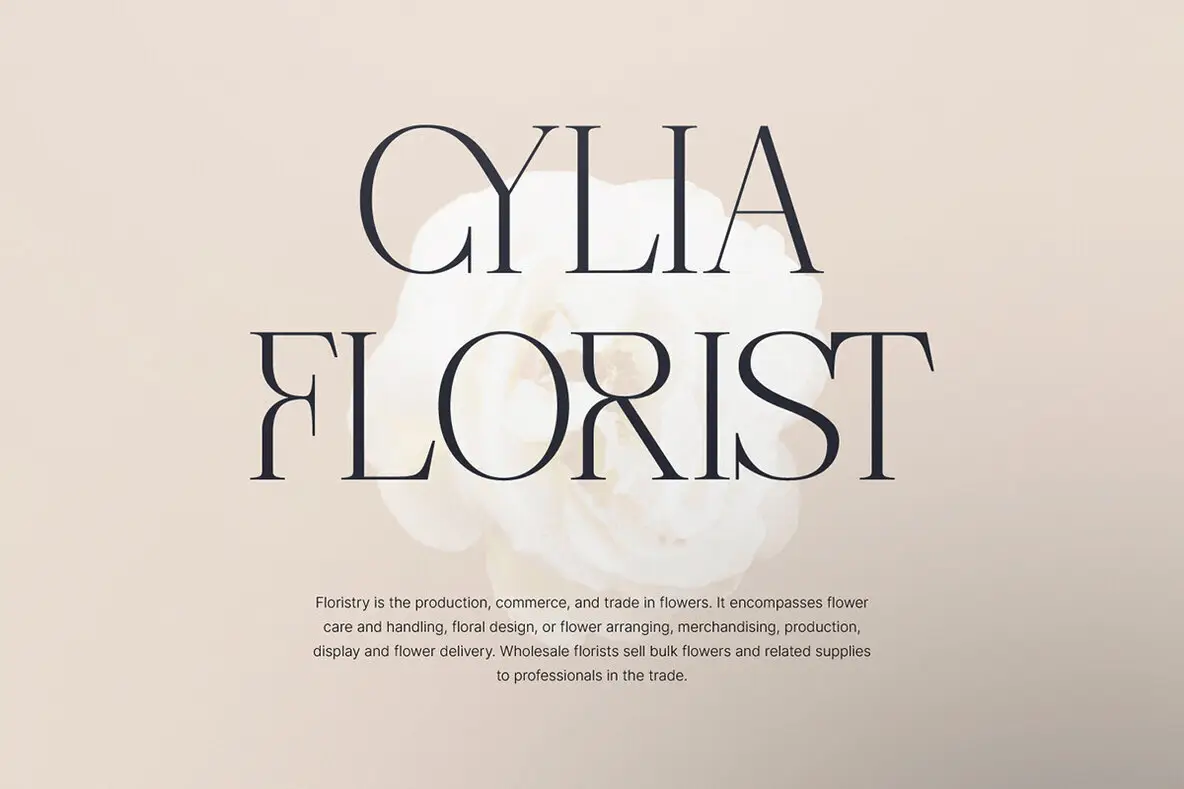 Aqala Display Font - YouWorkForThem