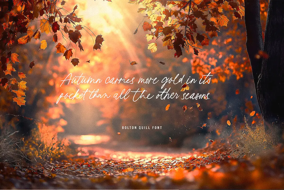 Bolton Quill Script Font - YouWorkForThem