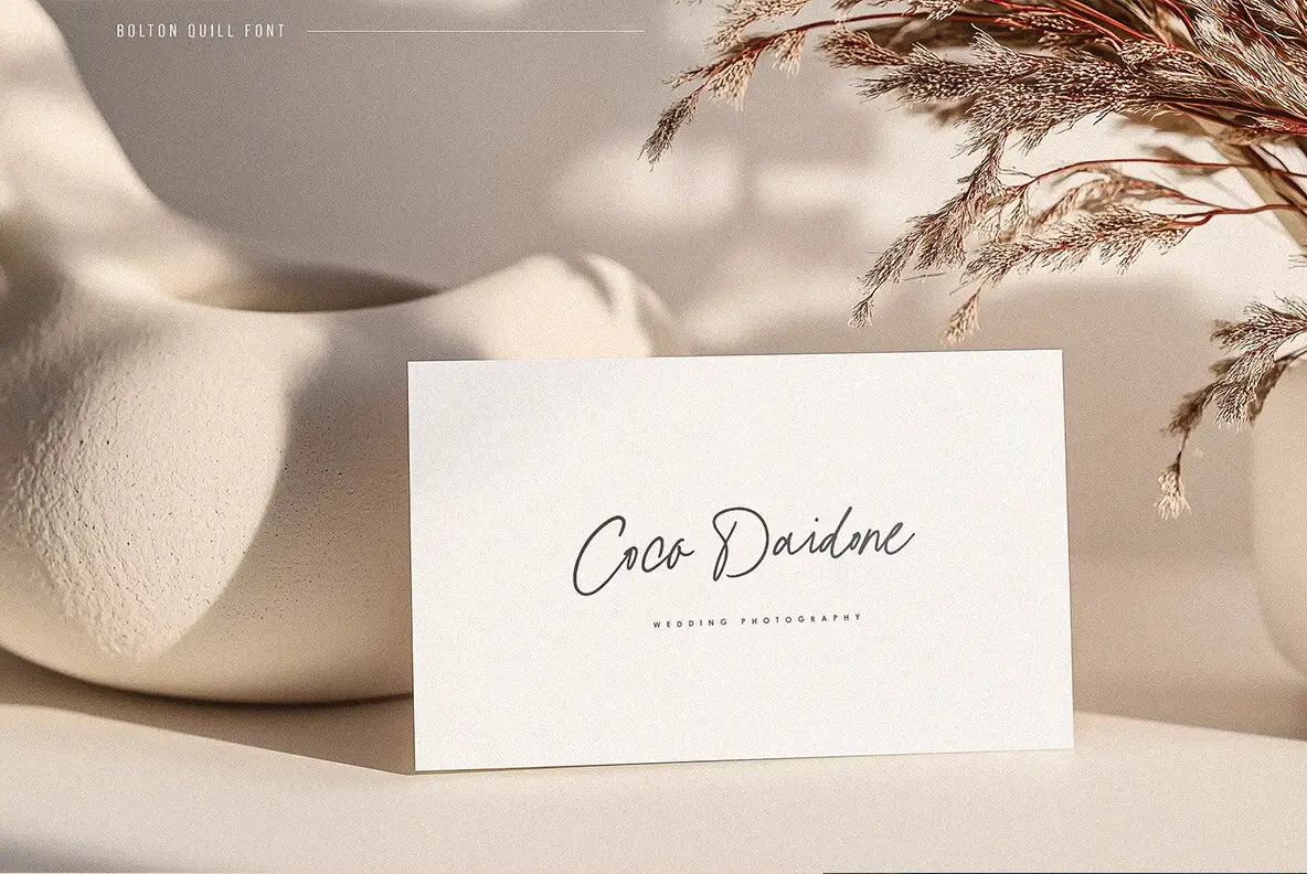 Bolton Quill Script Font - YouWorkForThem