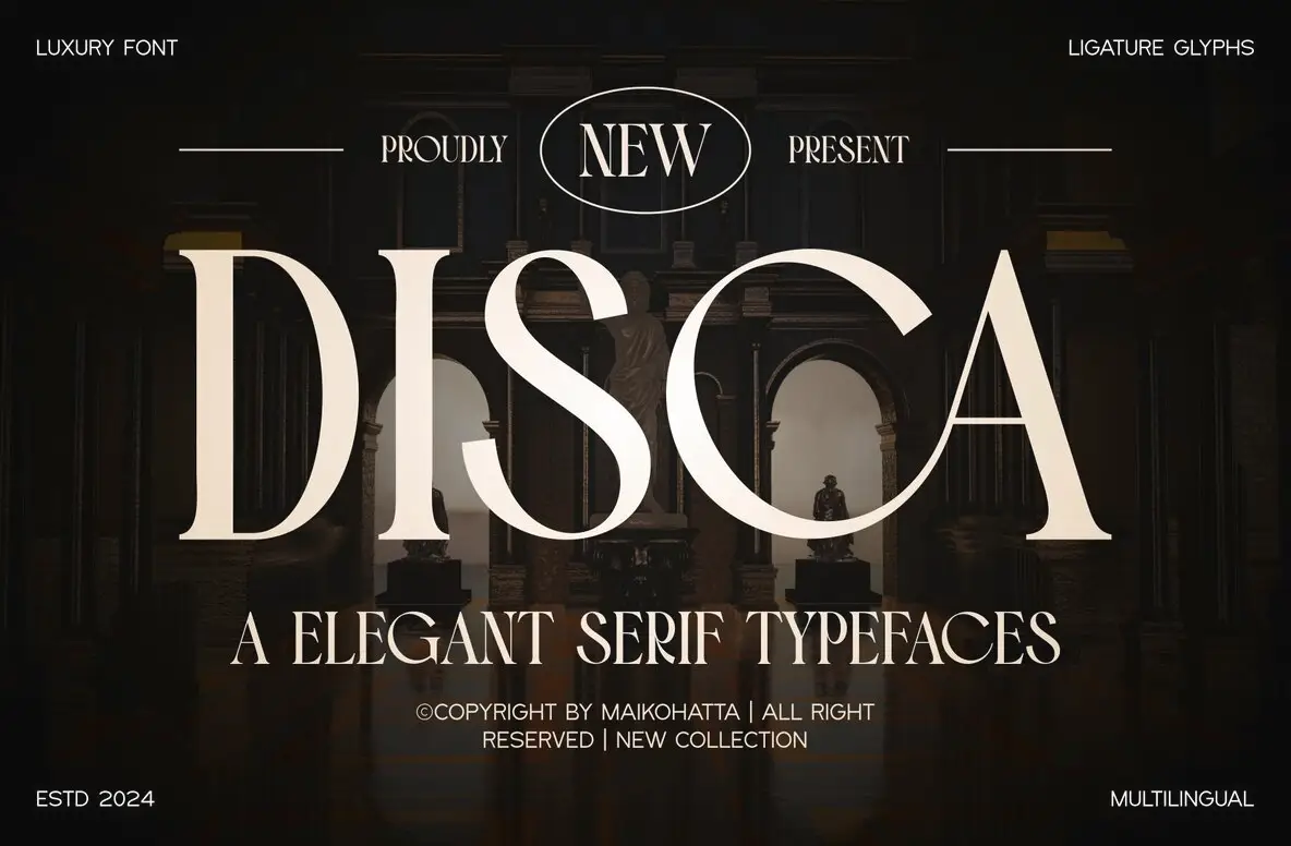 Disca Font - YouWorkForThem
