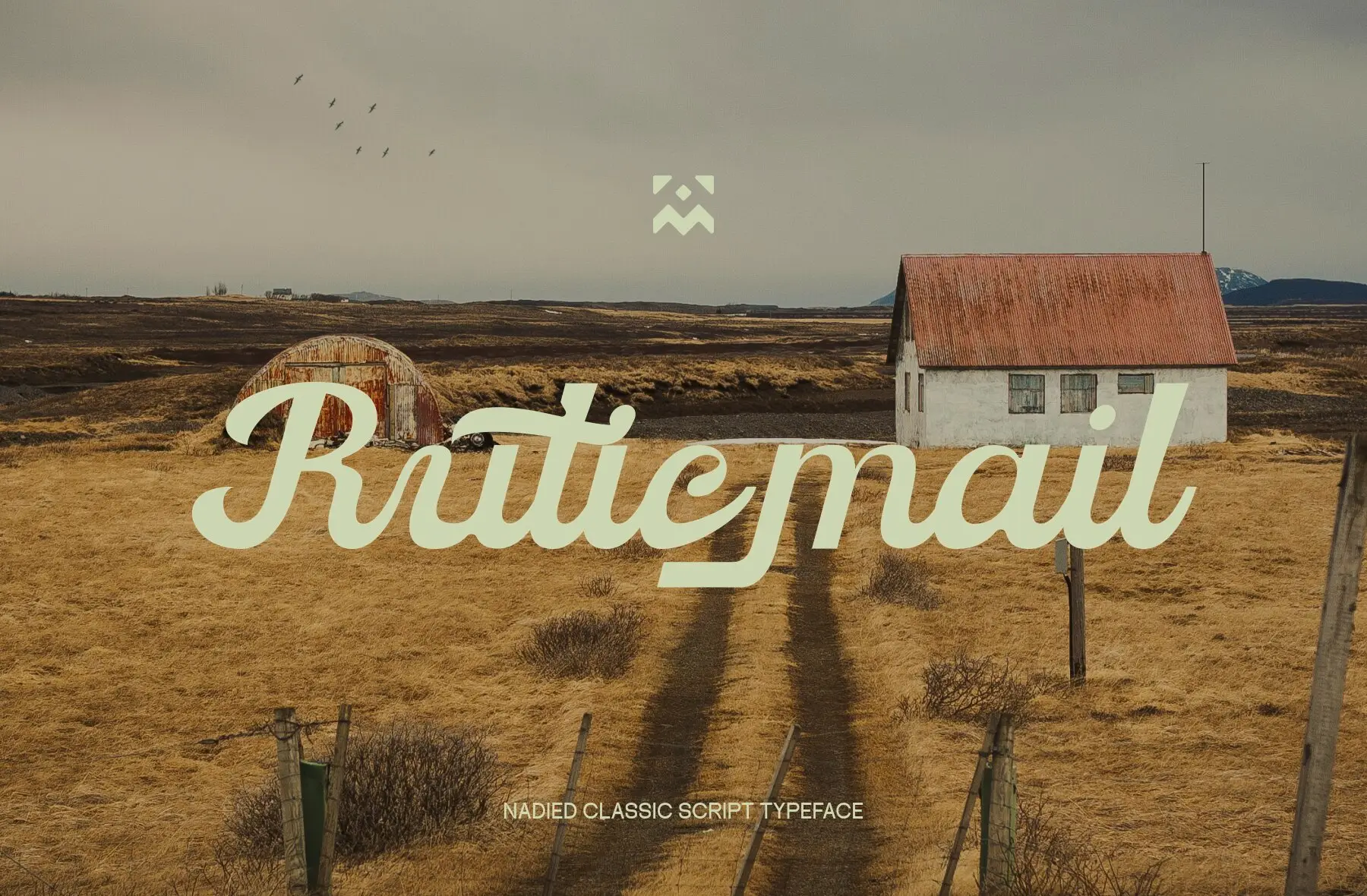 Nadied Font - YouWorkForThem