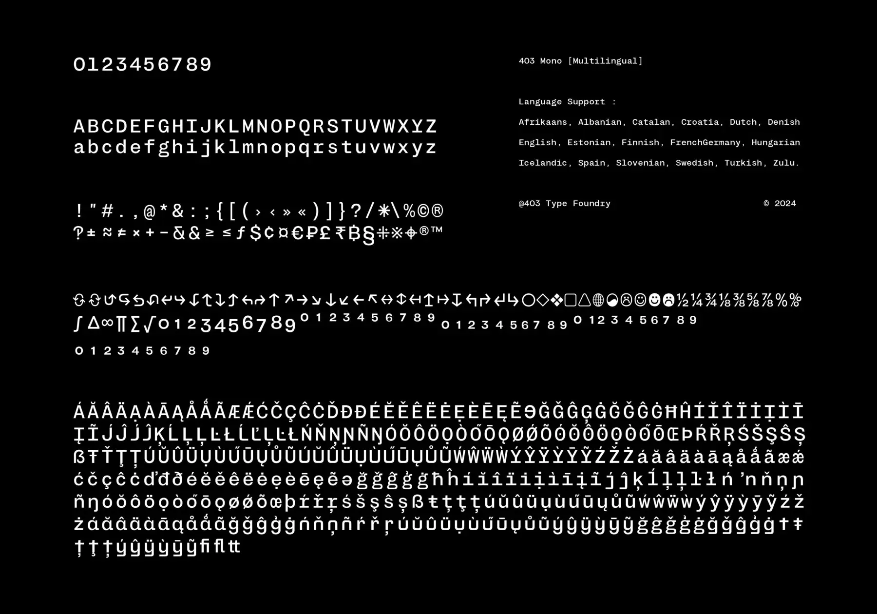 403 Mono Font - YouWorkForThem