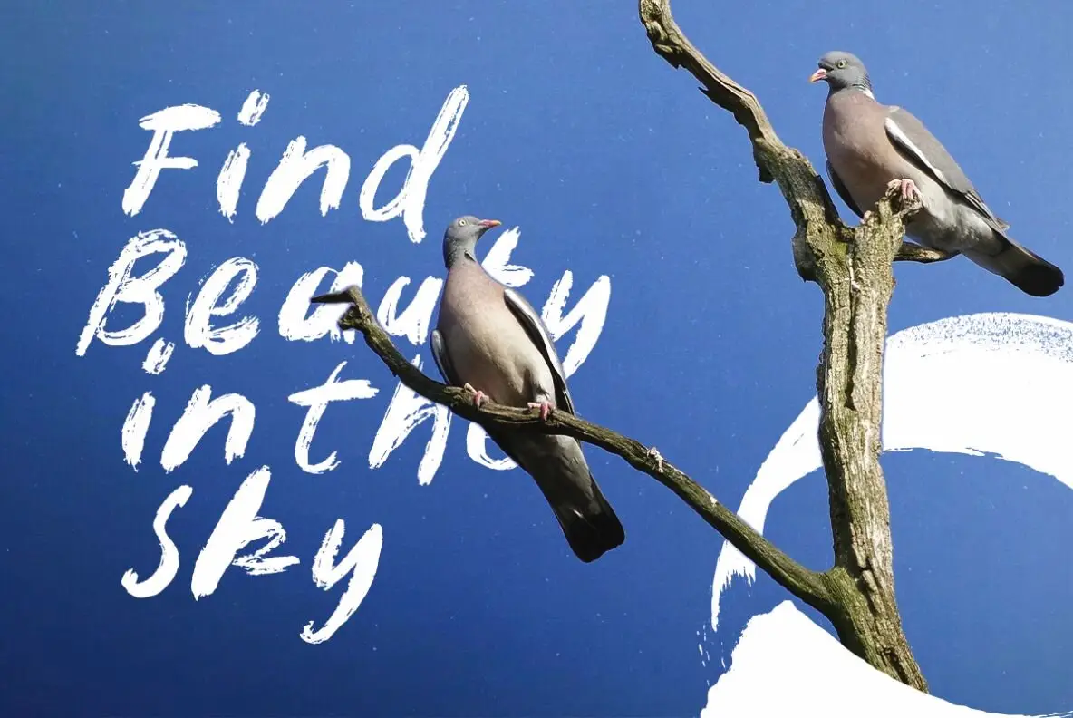 Little Receipt Font - FontPath