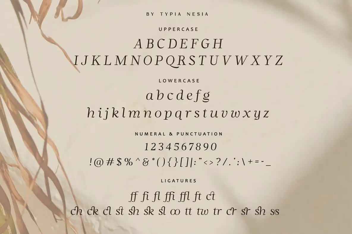 Grace Queen Font - YouWorkForThem