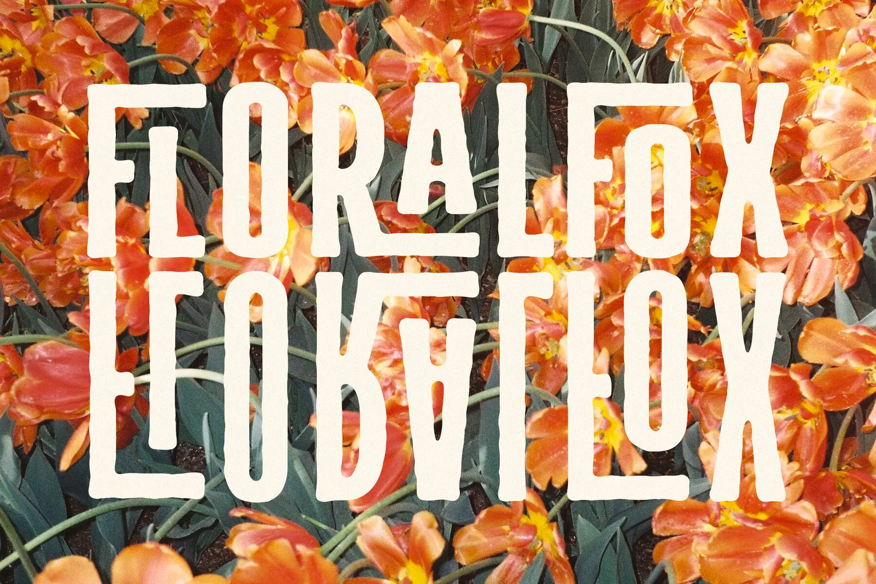 TC Blockparty Font - YouWorkForThem