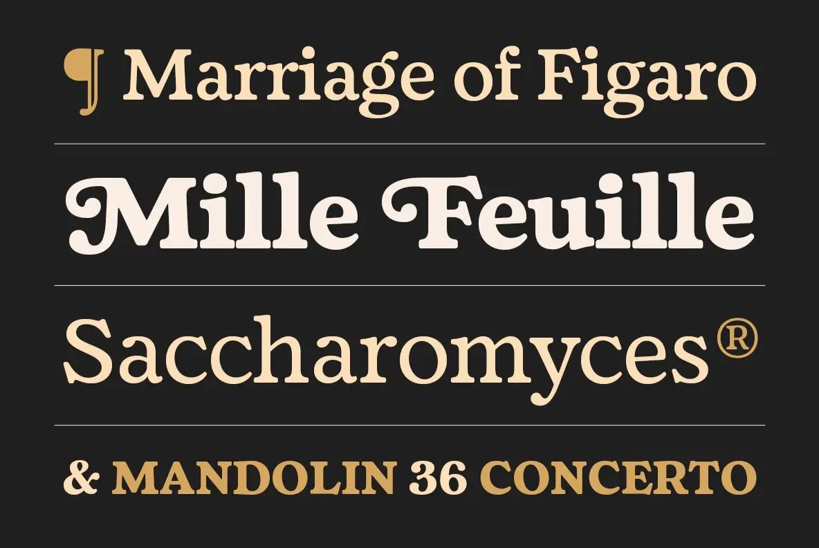 Fedro Font - YouWorkForThem