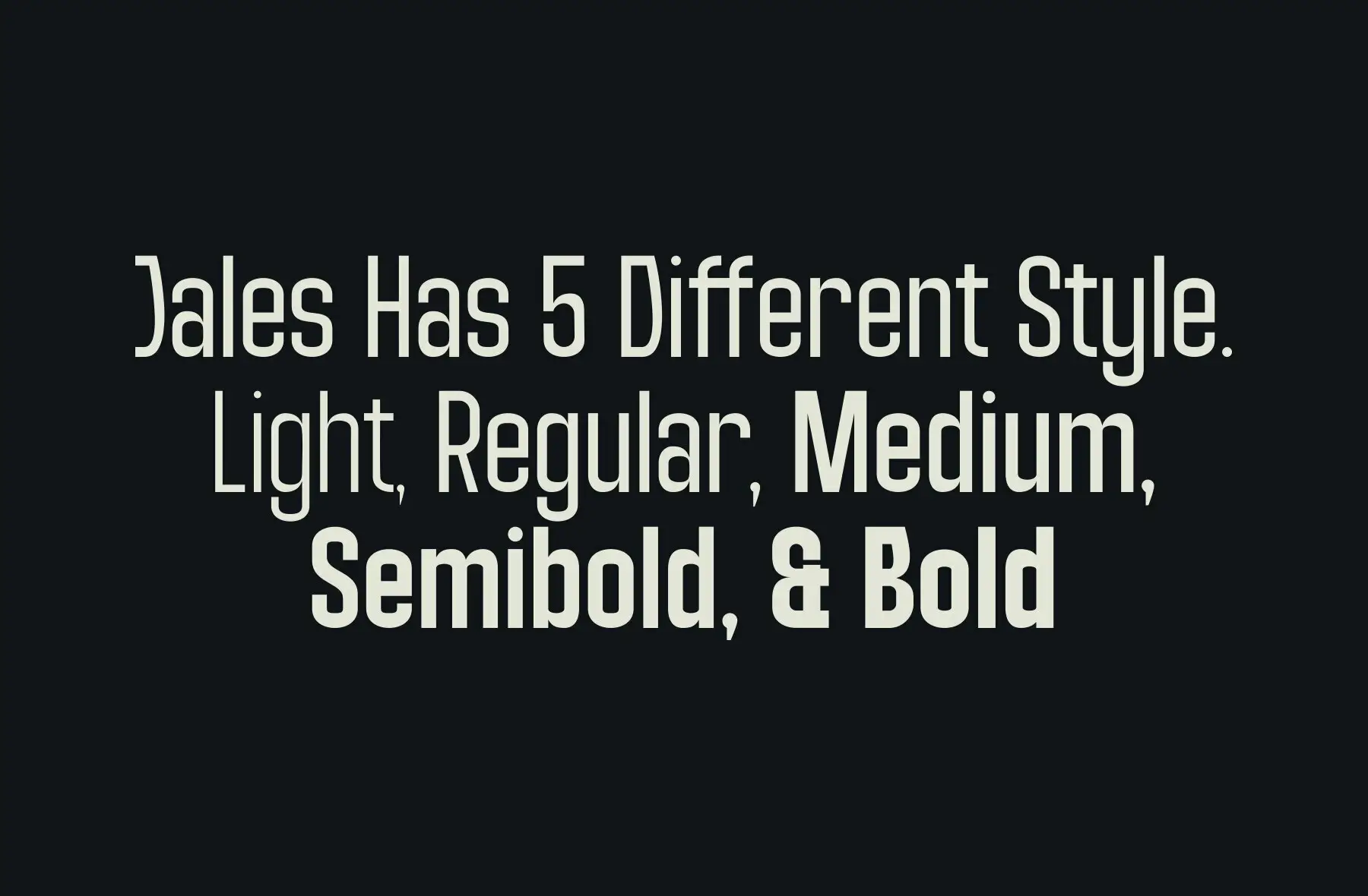 JALES Font - YouWorkForThem