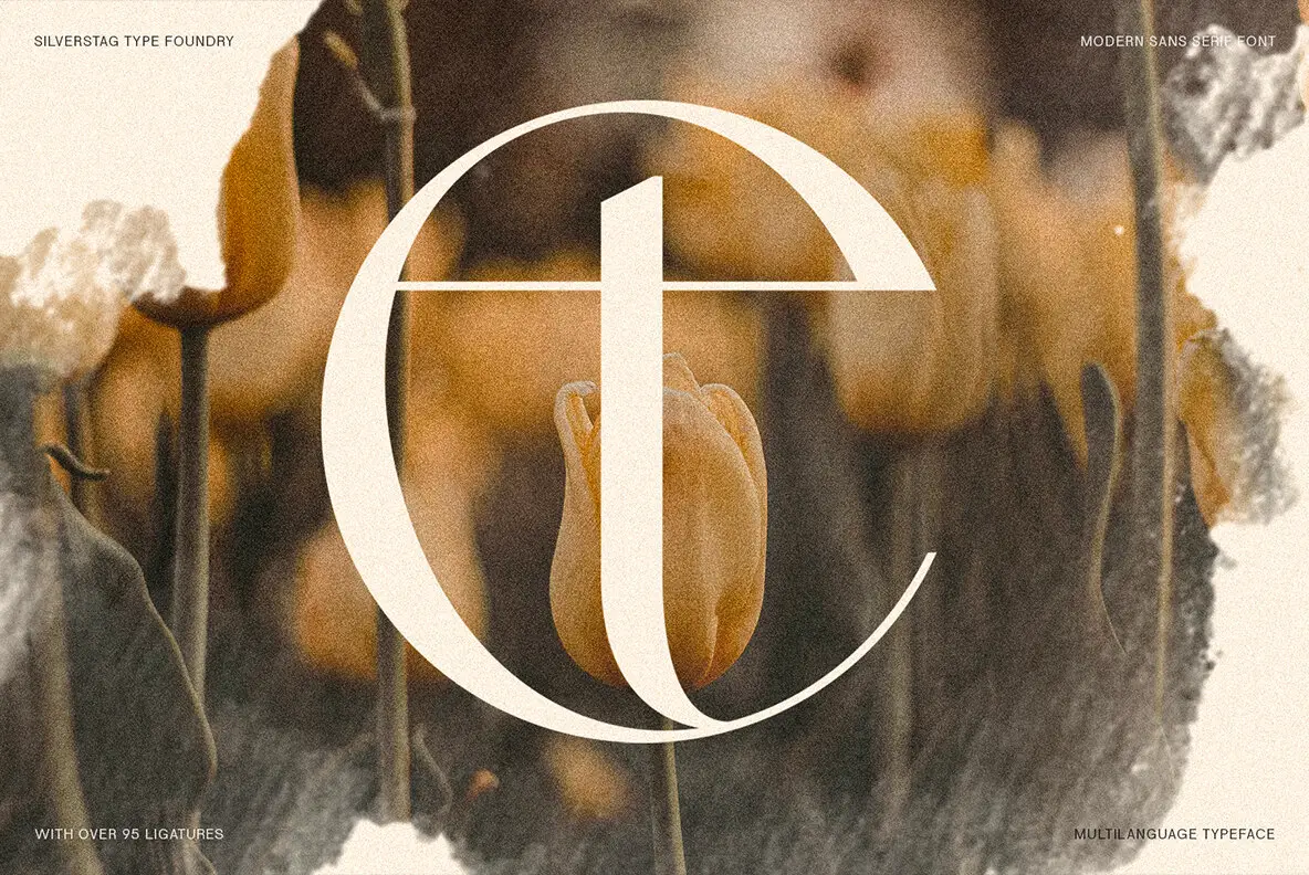 SLTF Night Windfall Font - YouWorkForThem