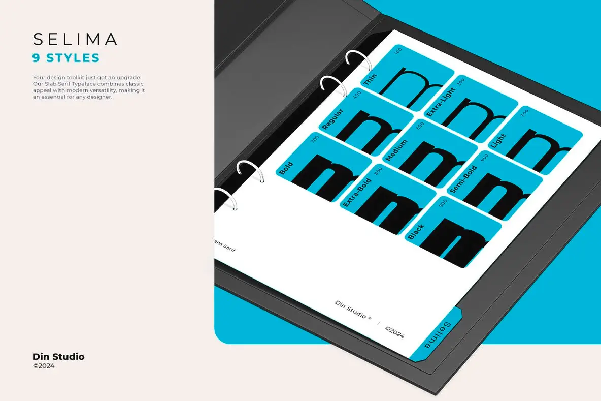 Selima Font - YouWorkForThem