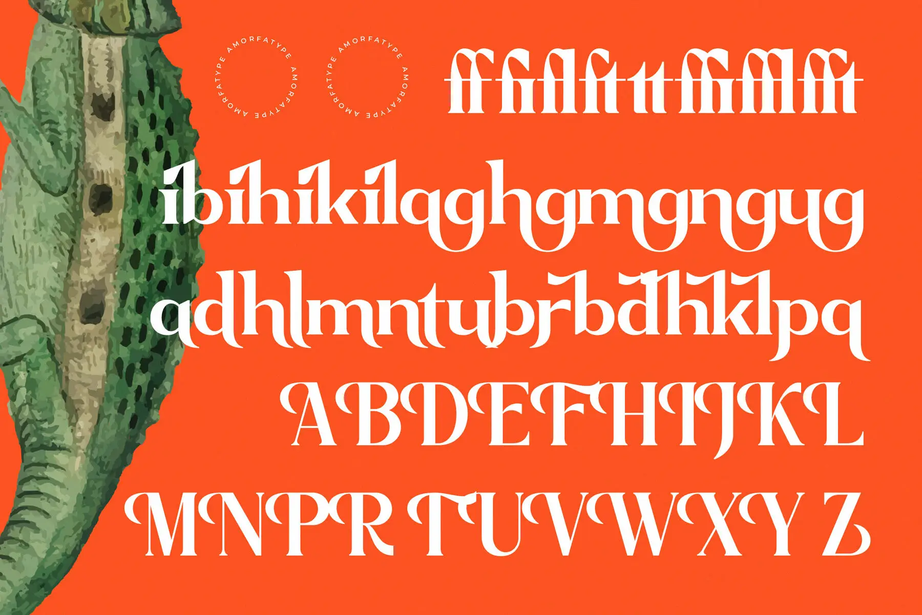 Sagfield Font - YouWorkForThem