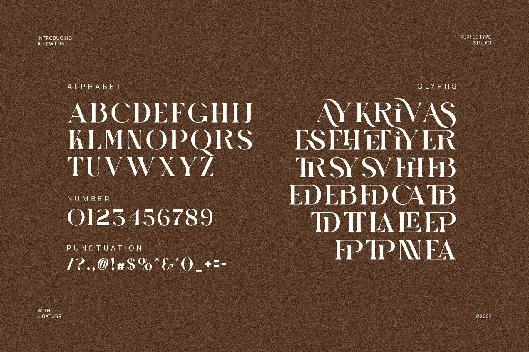Qasiya Font - YouWorkForThem