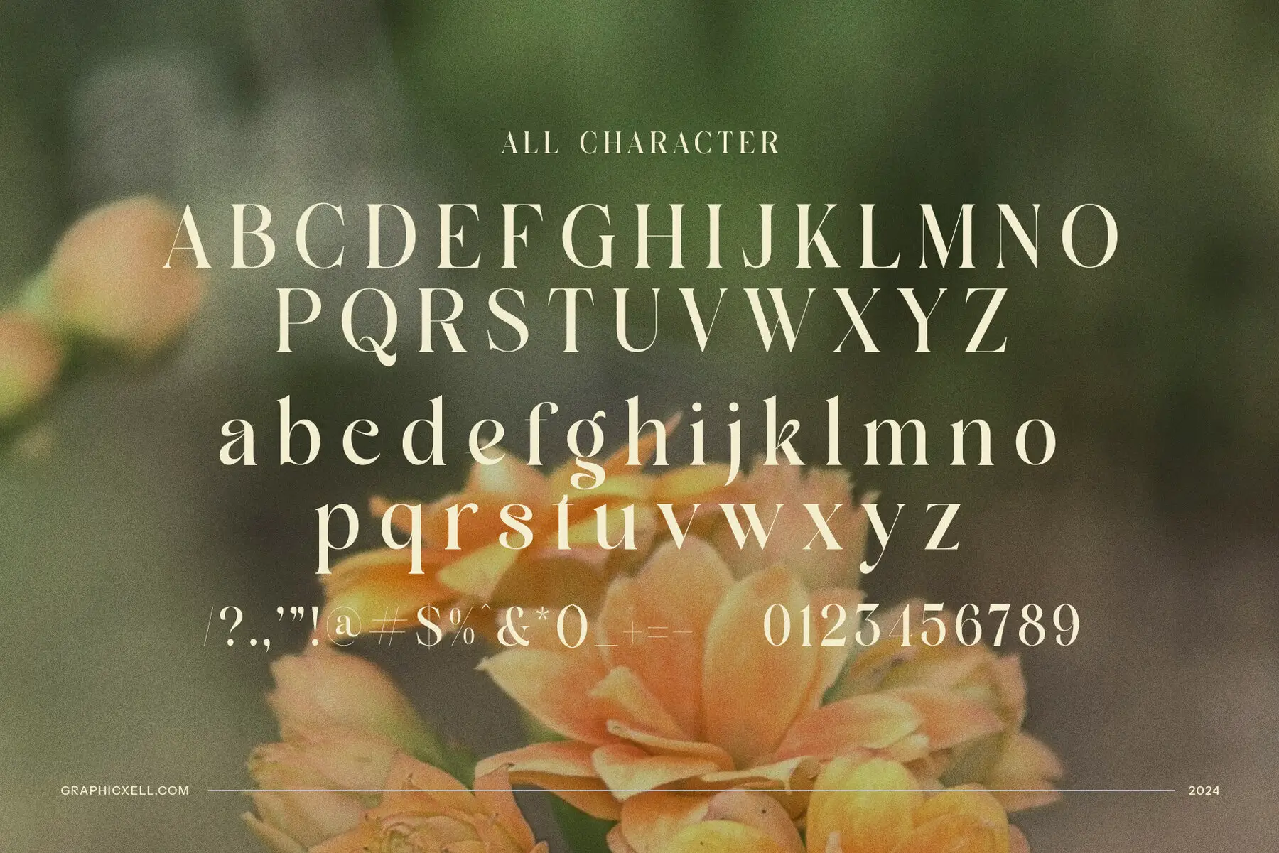Marge Font - YouWorkForThem