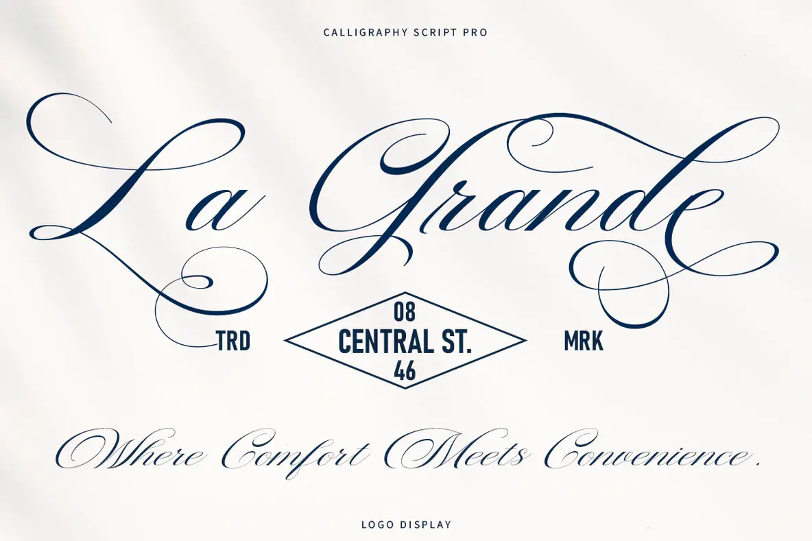 The Cartography Calligraphy Font - YouWorkForThem