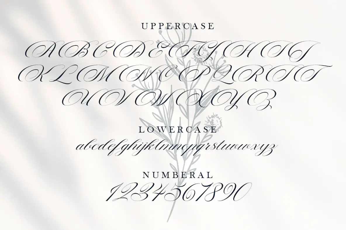 The Cartography Calligraphy Font - YouWorkForThem
