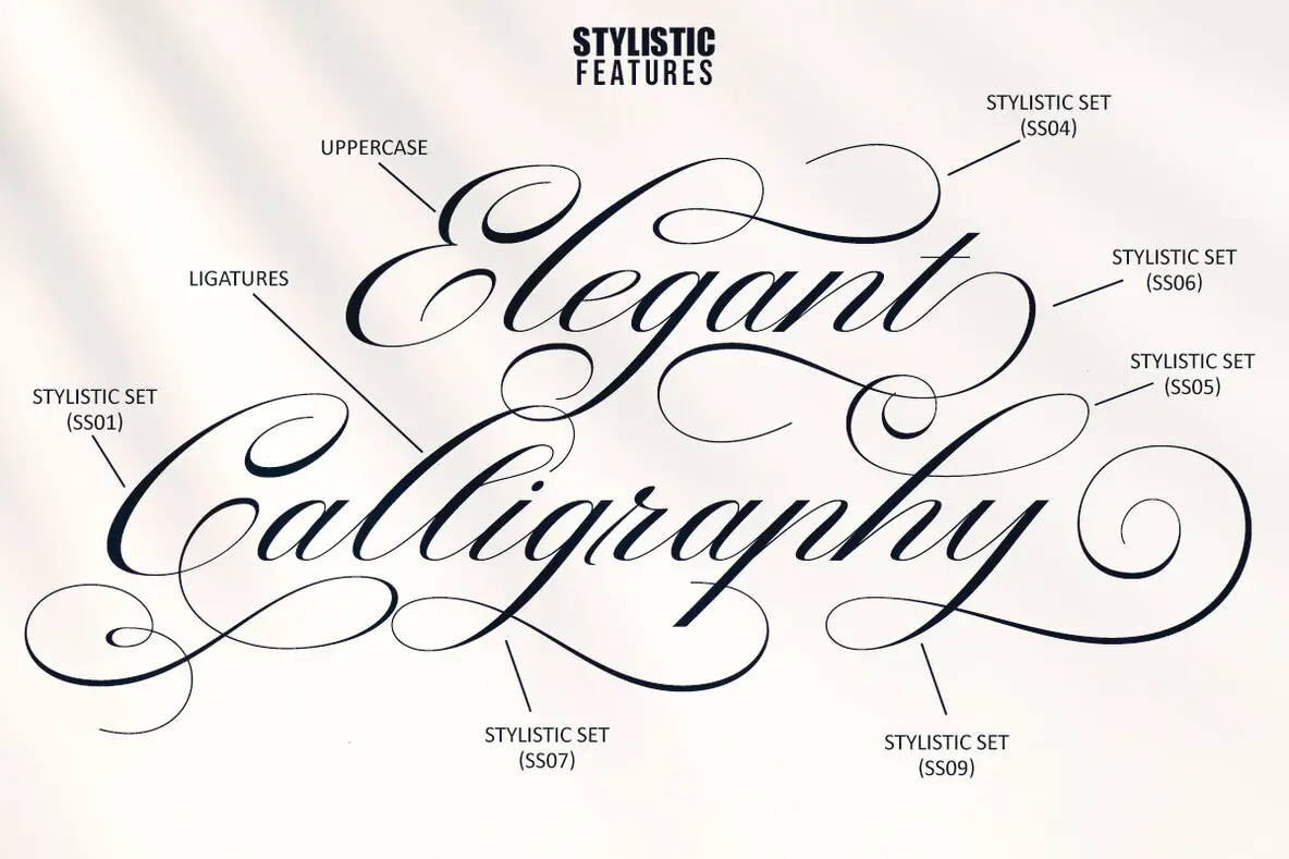 The Cartography Calligraphy Font - YouWorkForThem