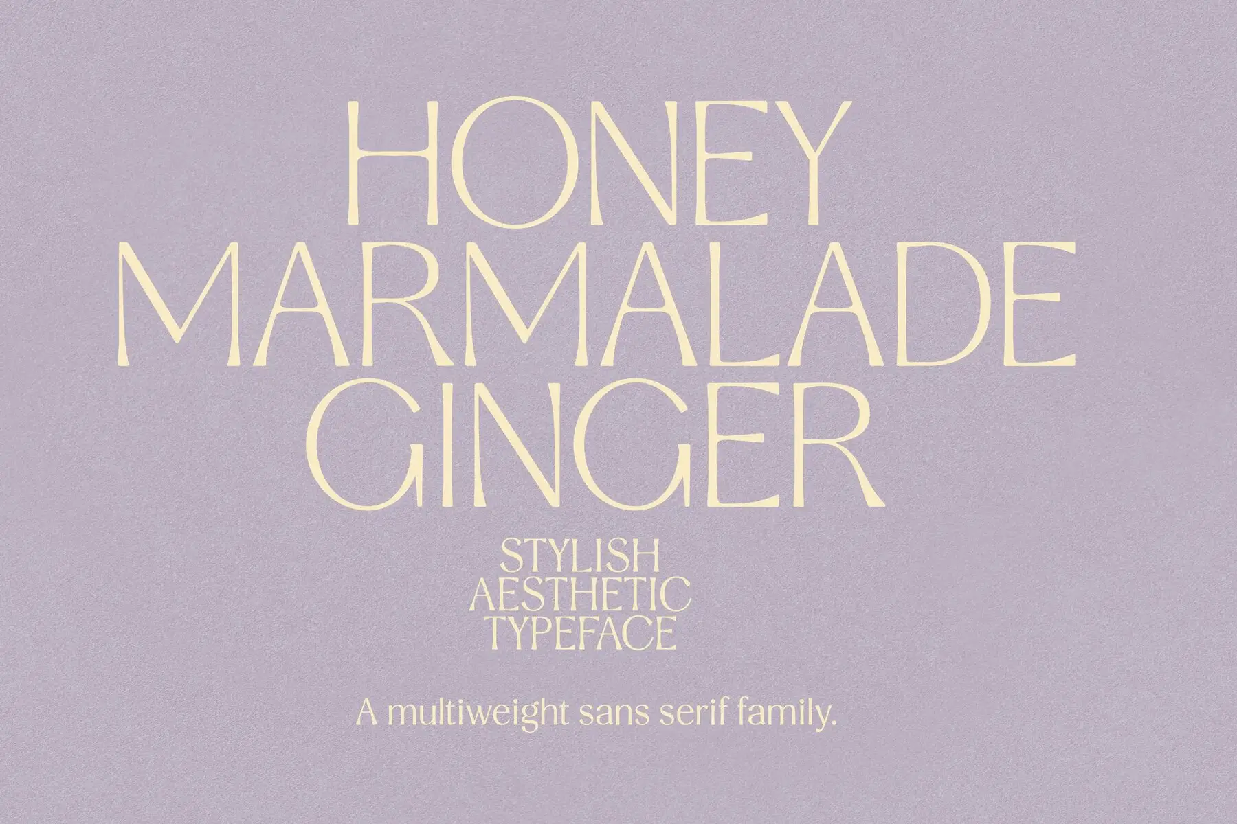 Stylish Aesthetic Font - YouWorkForThem