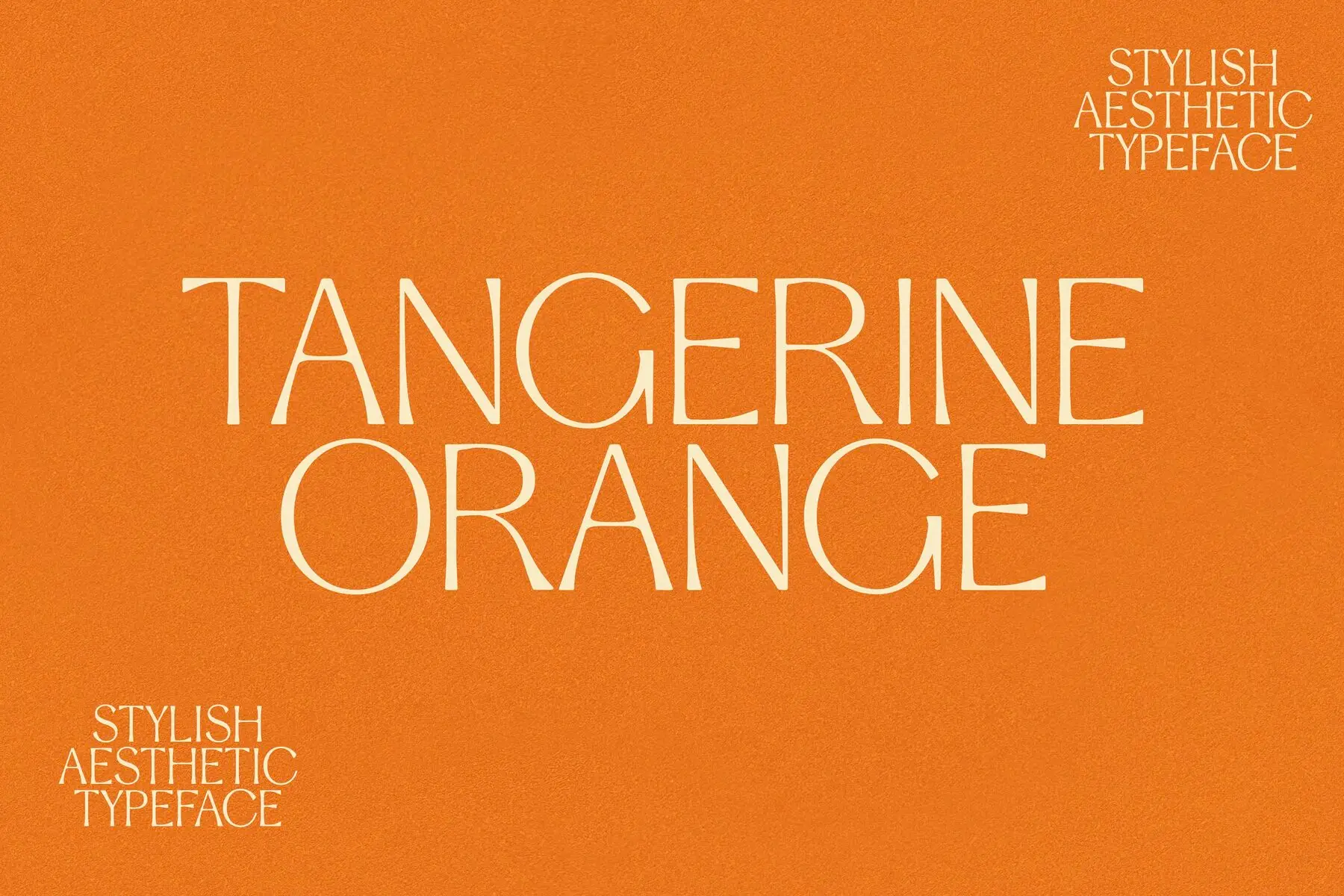 Stylish Aesthetic Font - YouWorkForThem