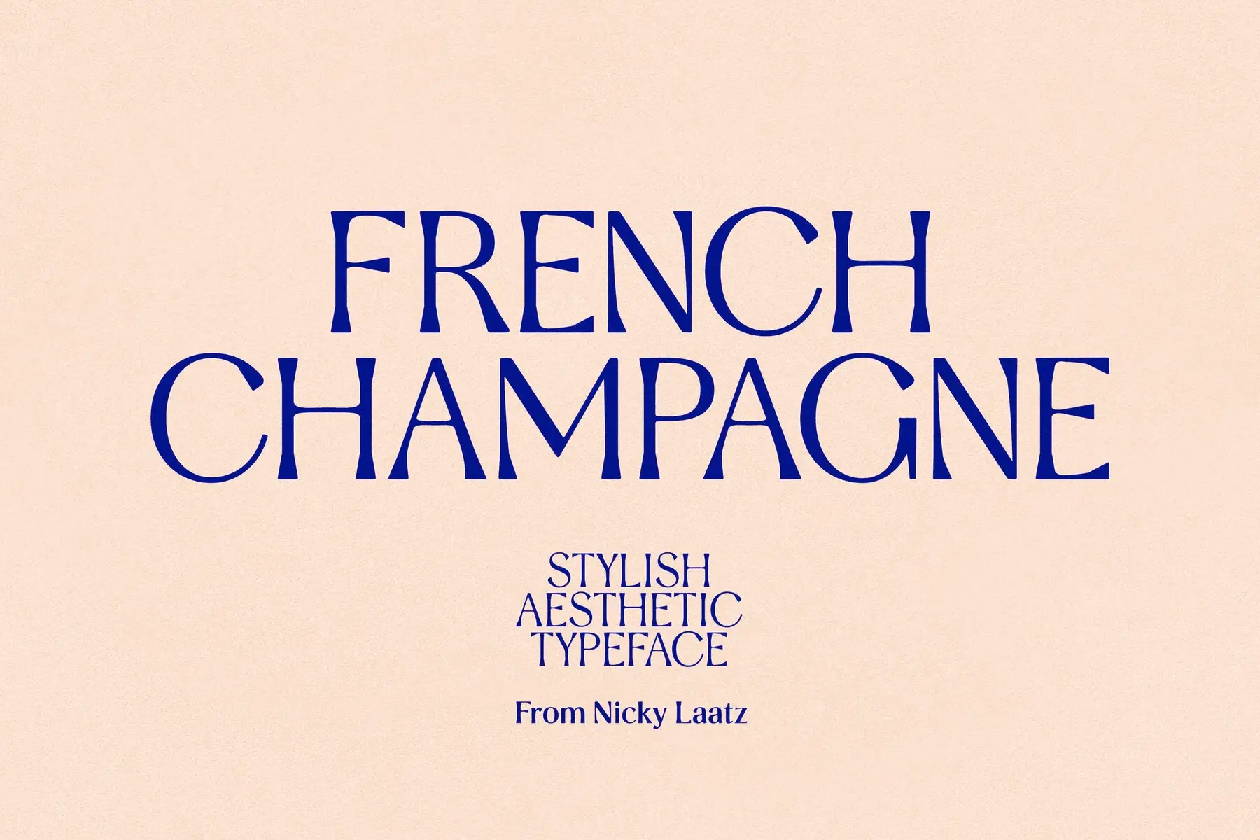 Stylish Aesthetic Font - YouWorkForThem