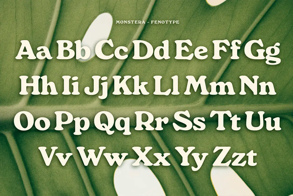 Monstera Font - YouWorkForThem