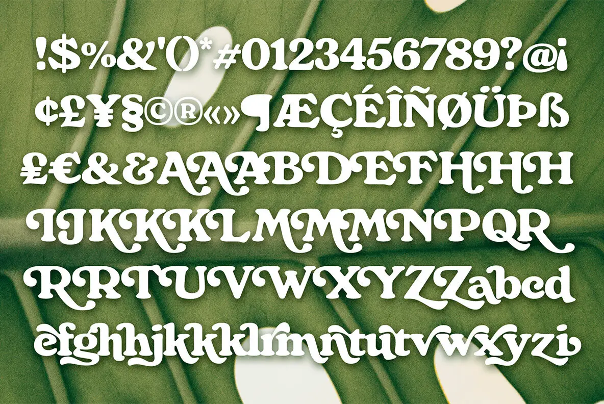 Monstera Font - YouWorkForThem