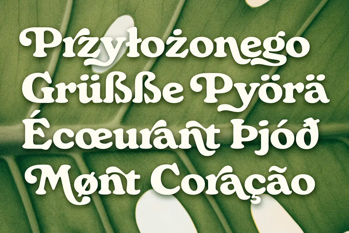 Monstera Font - YouWorkForThem