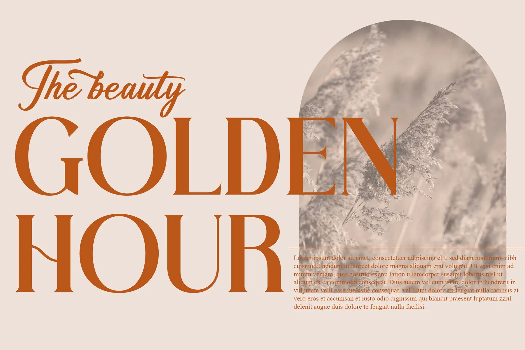Viollen Patricia Font - YouWorkForThem