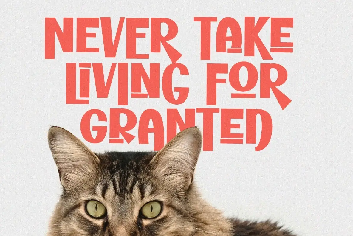 Harena Font - YouWorkForThem