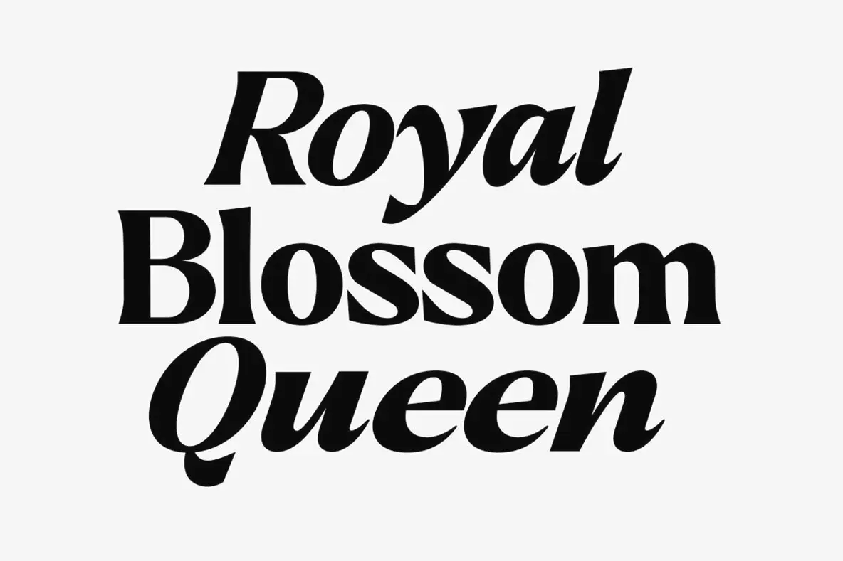 Callum Text Font - YouWorkForThem