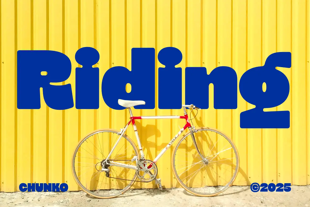 Chunko Bold Font - YouWorkForThem