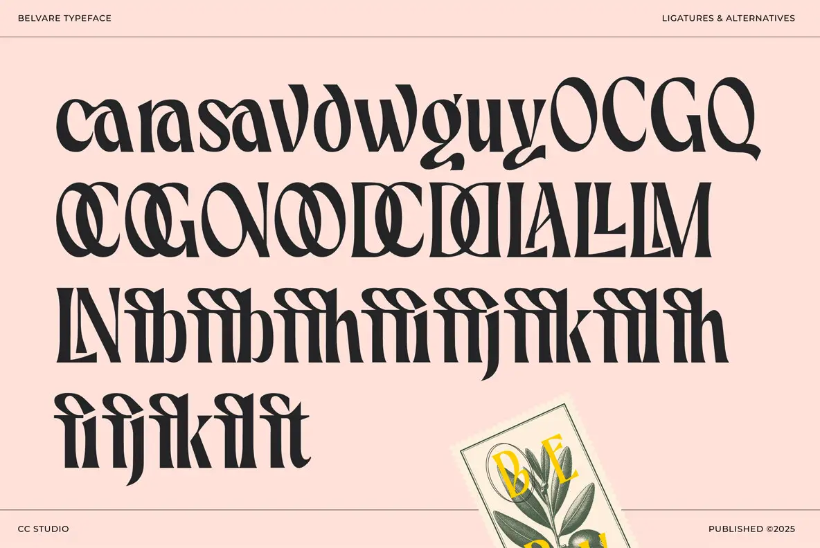 Belvare Font - YouWorkForThem
