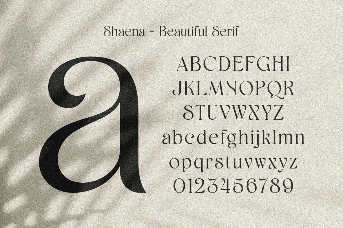 Shaena Font - YouWorkForThem