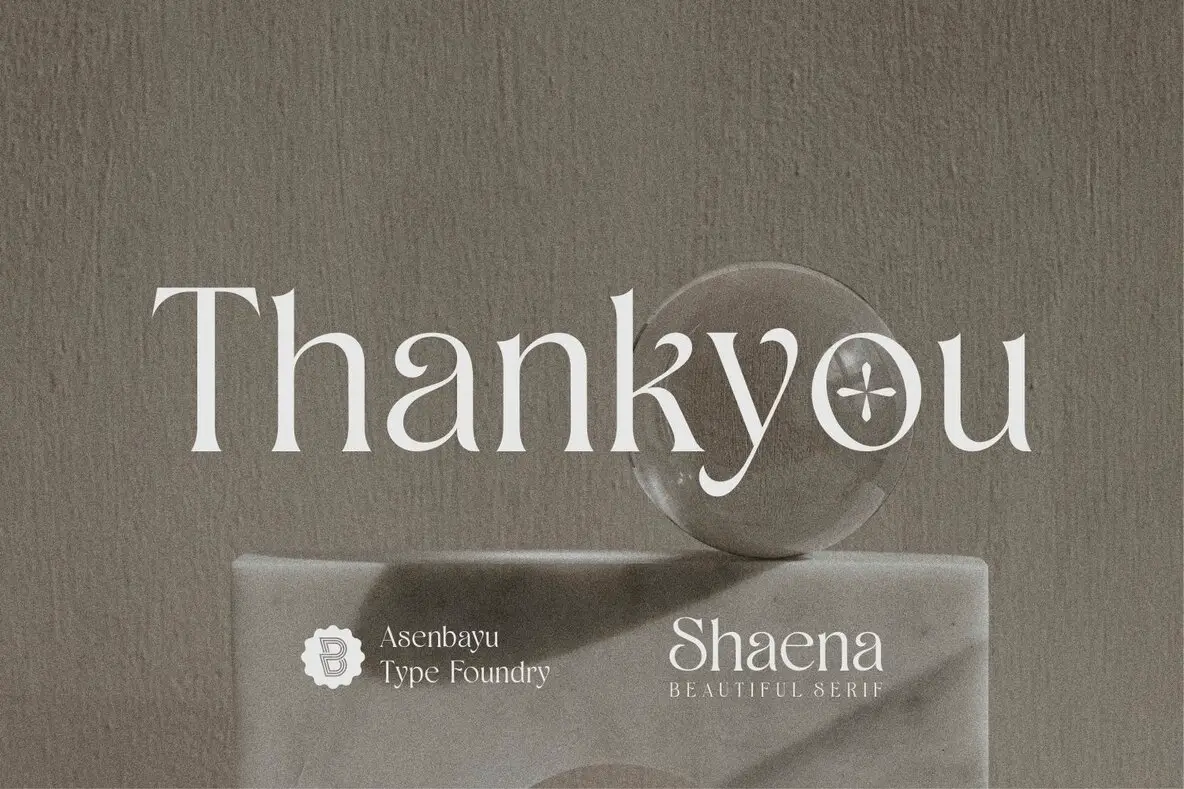 Shaena Font - YouWorkForThem