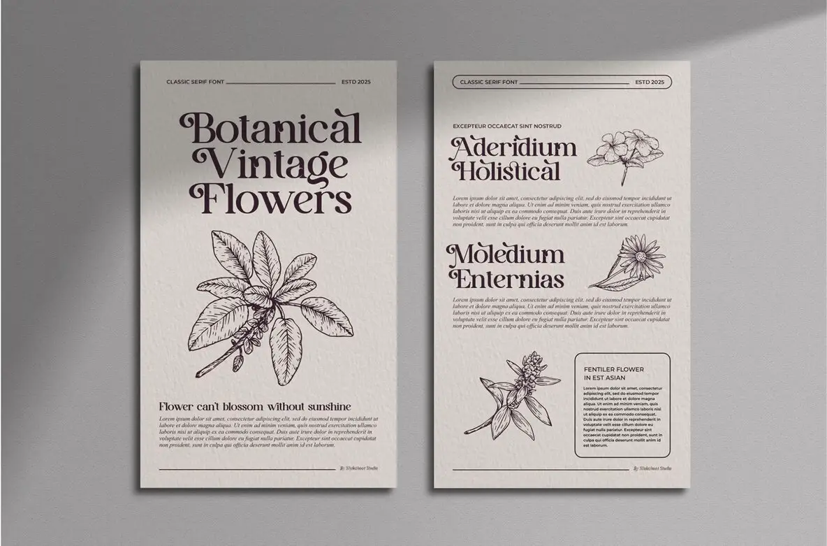 Avilla Mirabel Font - FontPath