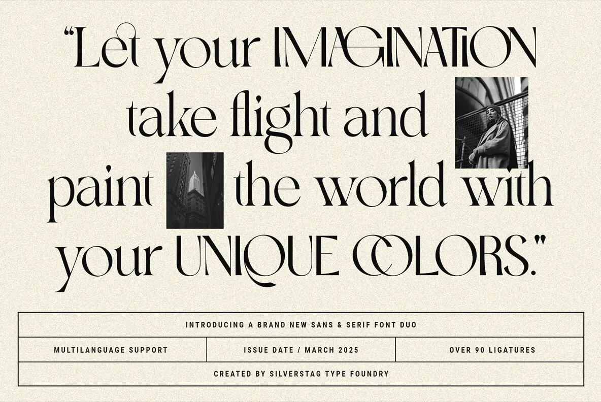 SLTF Night Windfall Font Duo - YouWorkForThem