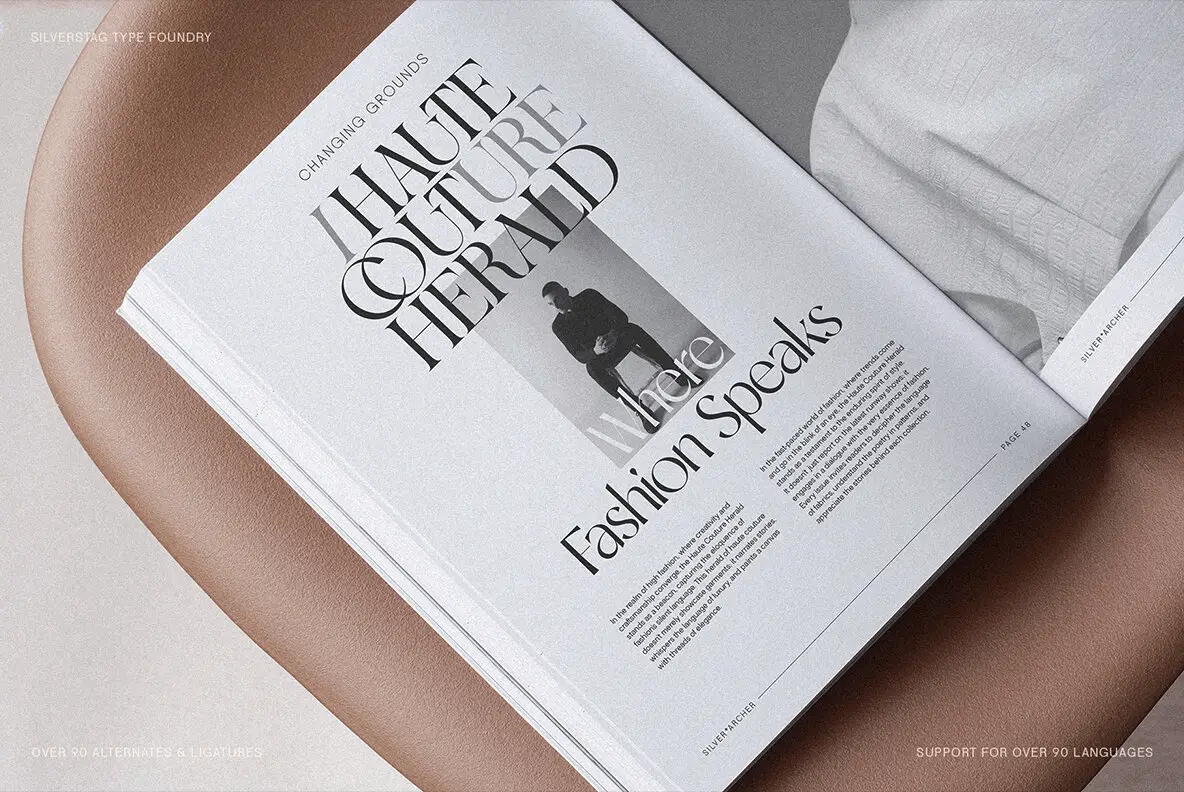 SLTF Night Windfall Font Duo - YouWorkForThem