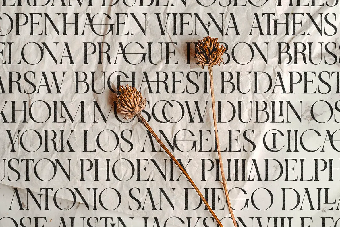 SLTF Night Windfall Font Duo - YouWorkForThem