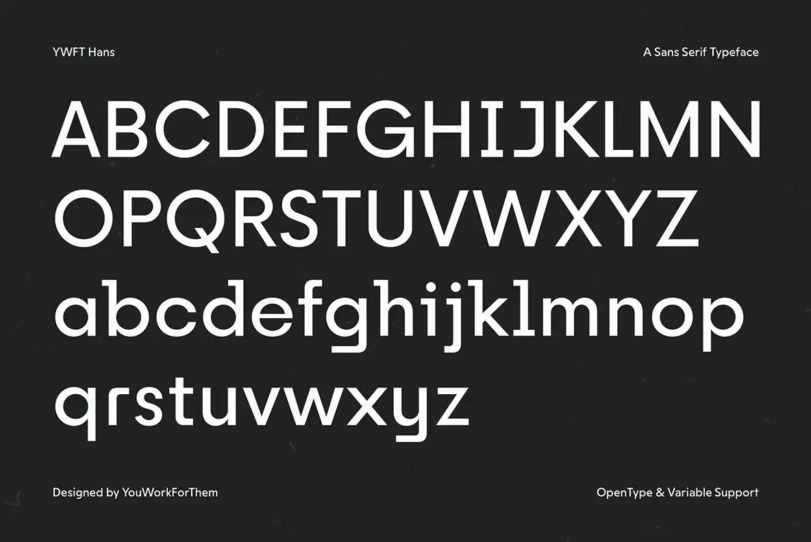 YWFT Hans Font - YouWorkForThem