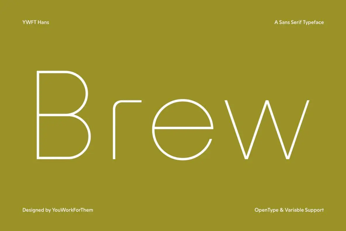 YWFT Hans Font - YouWorkForThem
